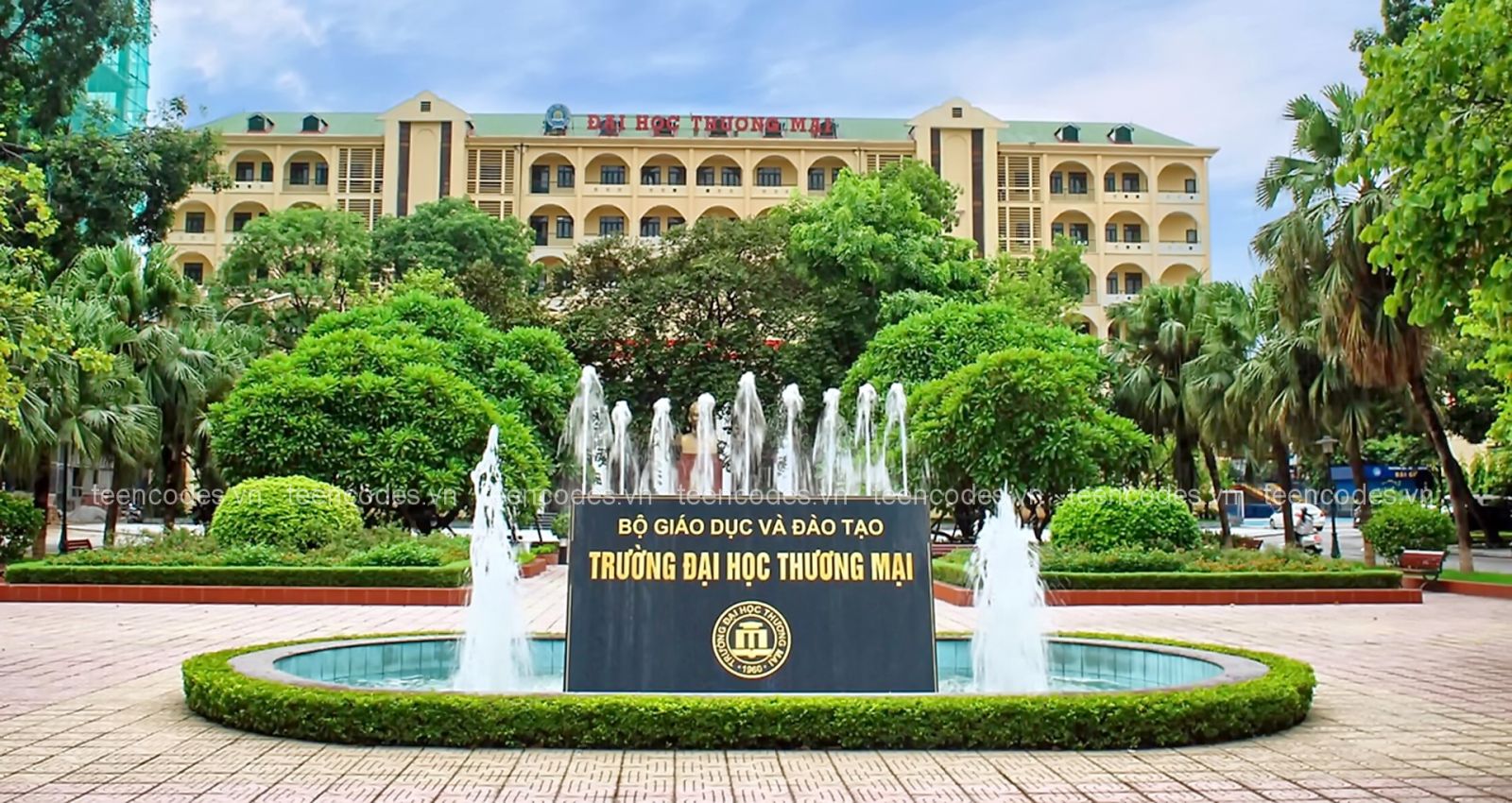 TeenCodes tư vấn Hướng nghiệp trực tuyến dành cho tuổi Teen Việt Nam