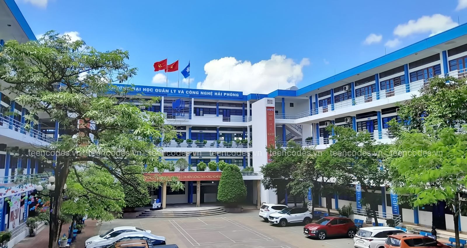 TeenCodes tư vấn Hướng nghiệp trực tuyến dành cho tuổi Teen Việt Nam