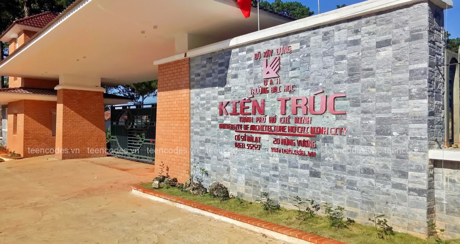 TeenCodes tư vấn Hướng nghiệp trực tuyến dành cho tuổi Teen Việt Nam