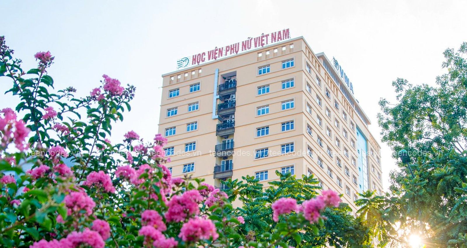 TeenCodes tư vấn Hướng nghiệp trực tuyến dành cho tuổi Teen Việt Nam