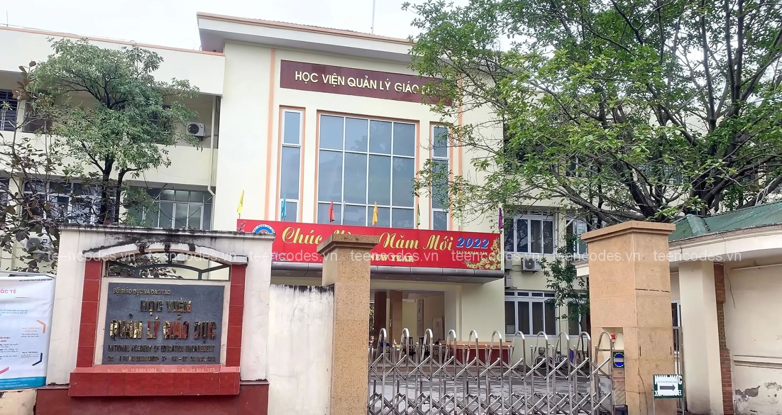 TeenCodes tư vấn Hướng nghiệp trực tuyến dành cho tuổi Teen Việt Nam