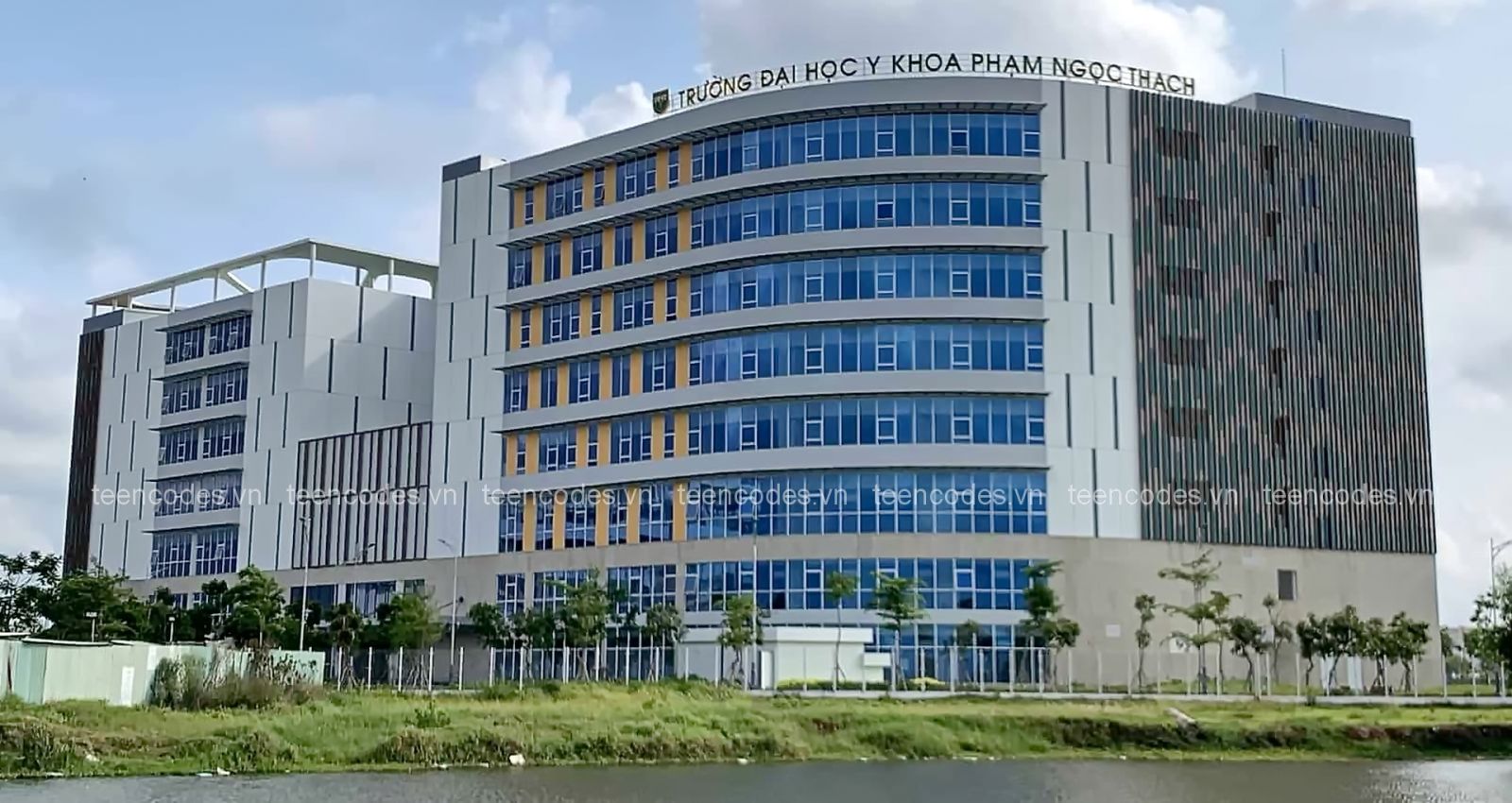 TeenCodes tư vấn Hướng nghiệp trực tuyến dành cho tuổi Teen Việt Nam