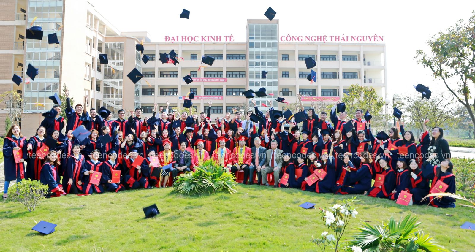 TeenCodes tư vấn Hướng nghiệp trực tuyến dành cho tuổi Teen Việt Nam