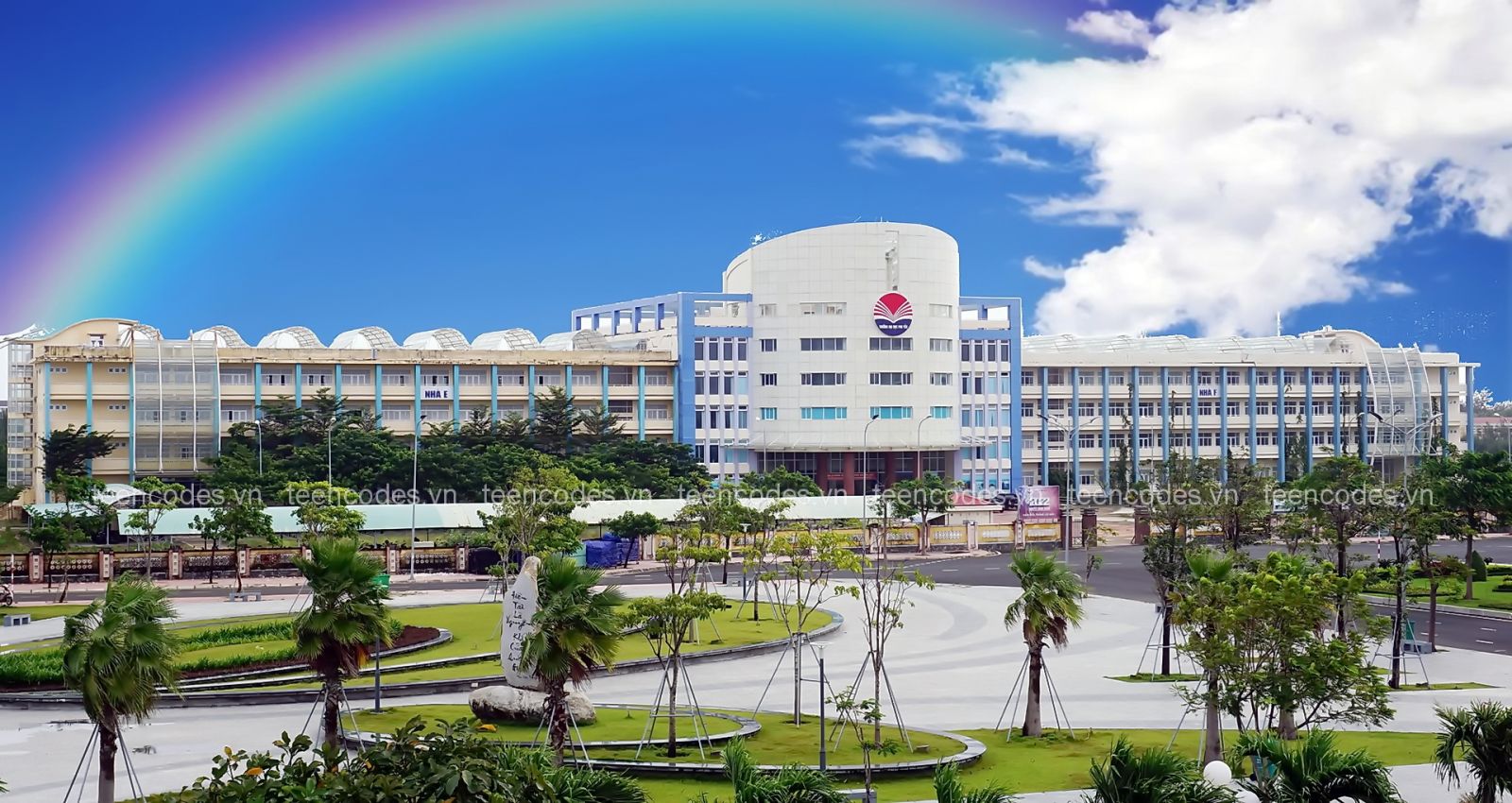 TeenCodes tư vấn Hướng nghiệp trực tuyến dành cho tuổi Teen Việt Nam