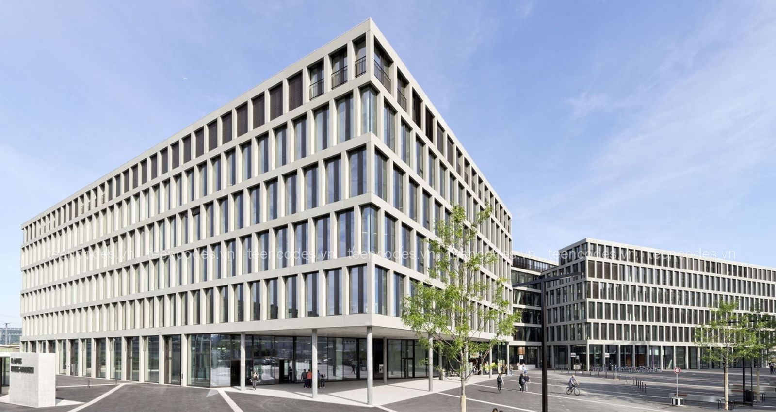 TeenCodes tư vấn Hướng nghiệp trực tuyến dành cho tuổi Teen Việt Nam