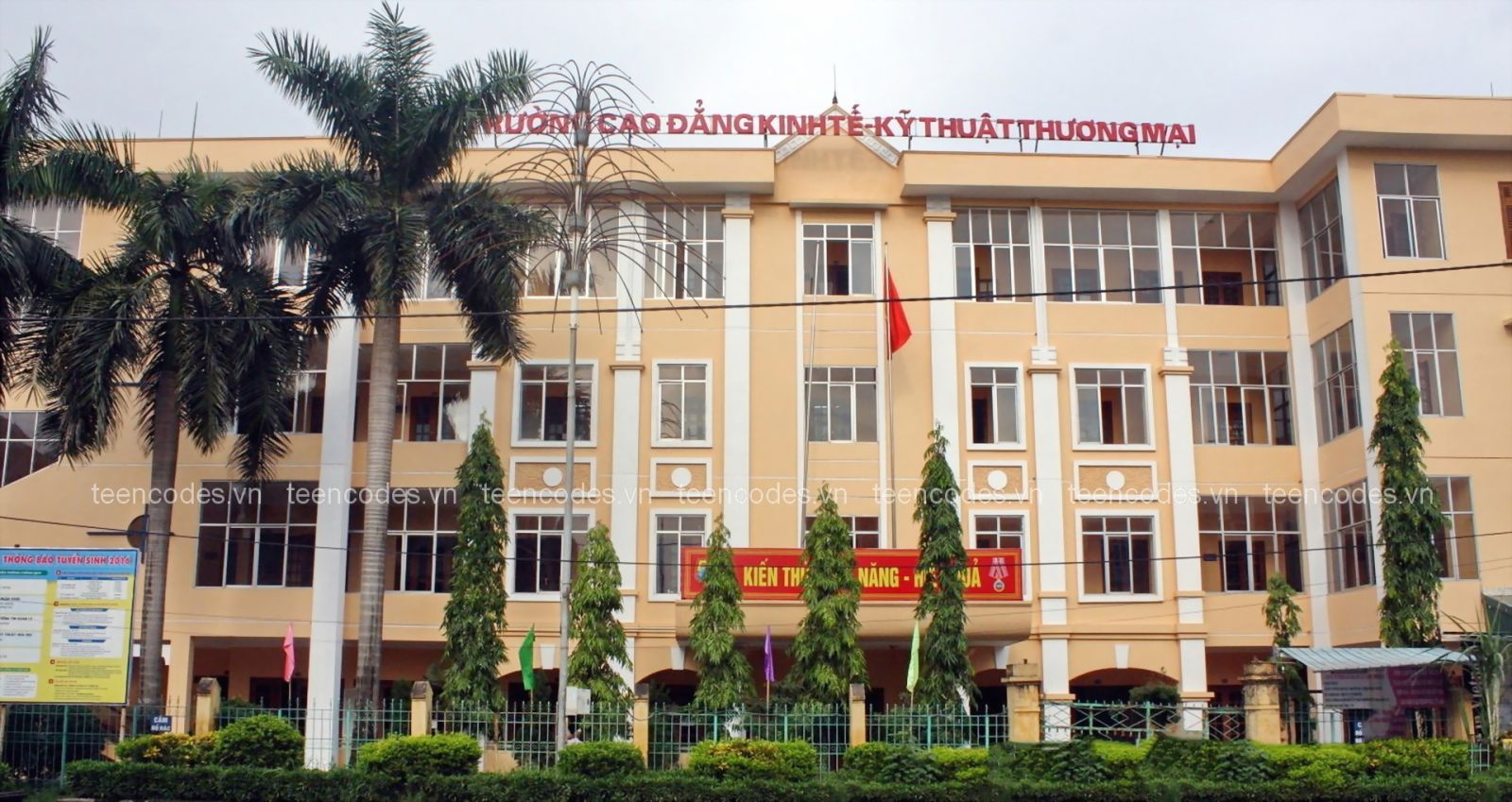 TeenCodes tư vấn Hướng nghiệp trực tuyến dành cho tuổi Teen Việt Nam