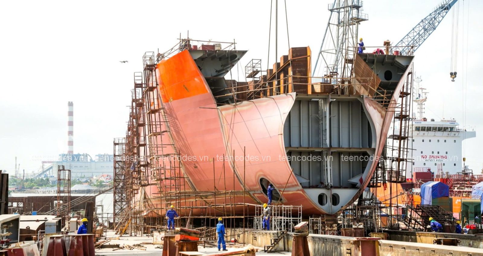 TeenCodes tư vấn Hướng nghiệp trực tuyến dành cho tuổi Teen Việt Nam